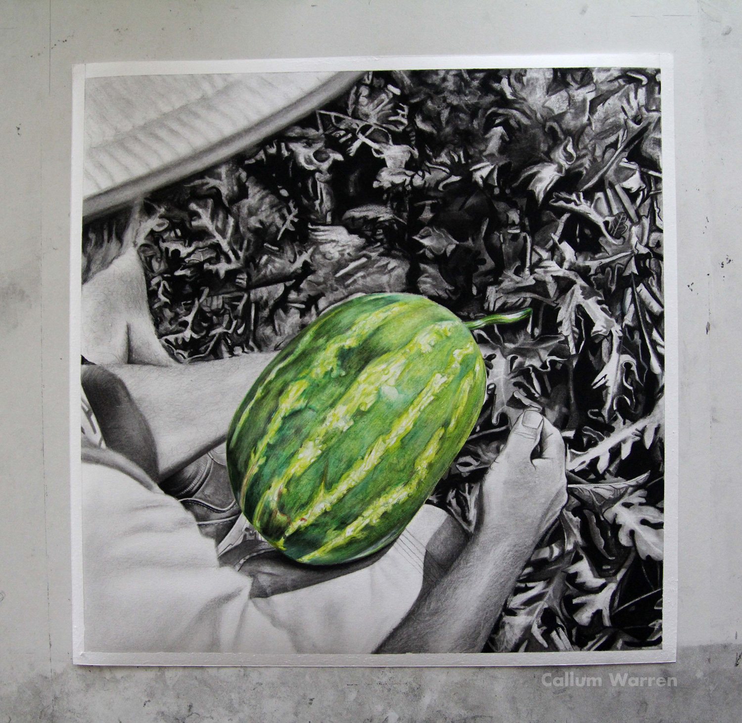 The final piece in the OMY series! – Callum Warren